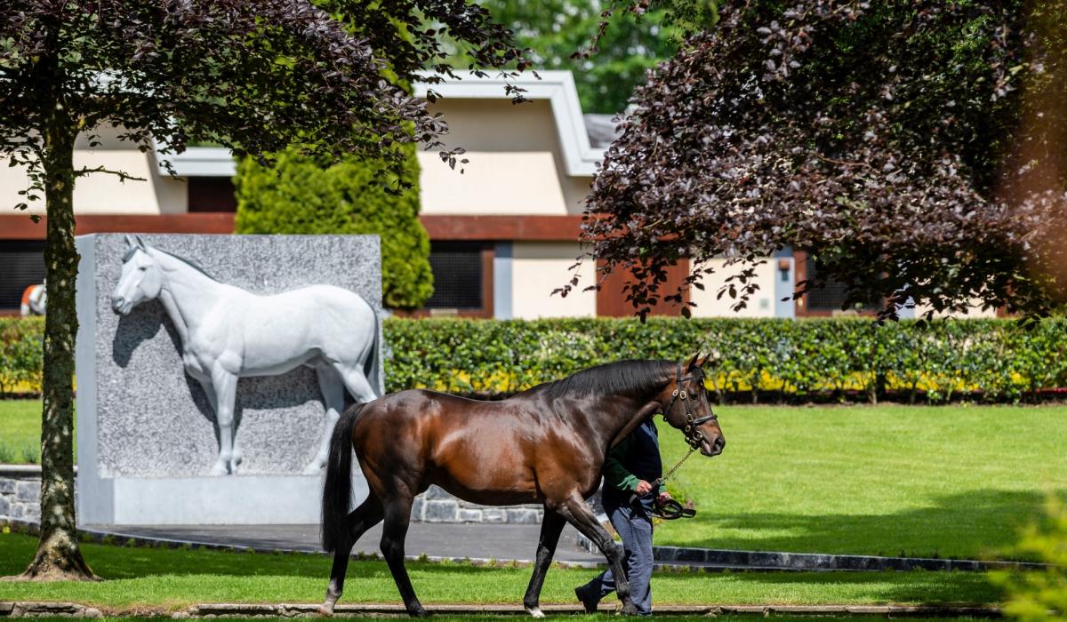Irish National Stud and Gardens recognised as being in the top 10% of ...