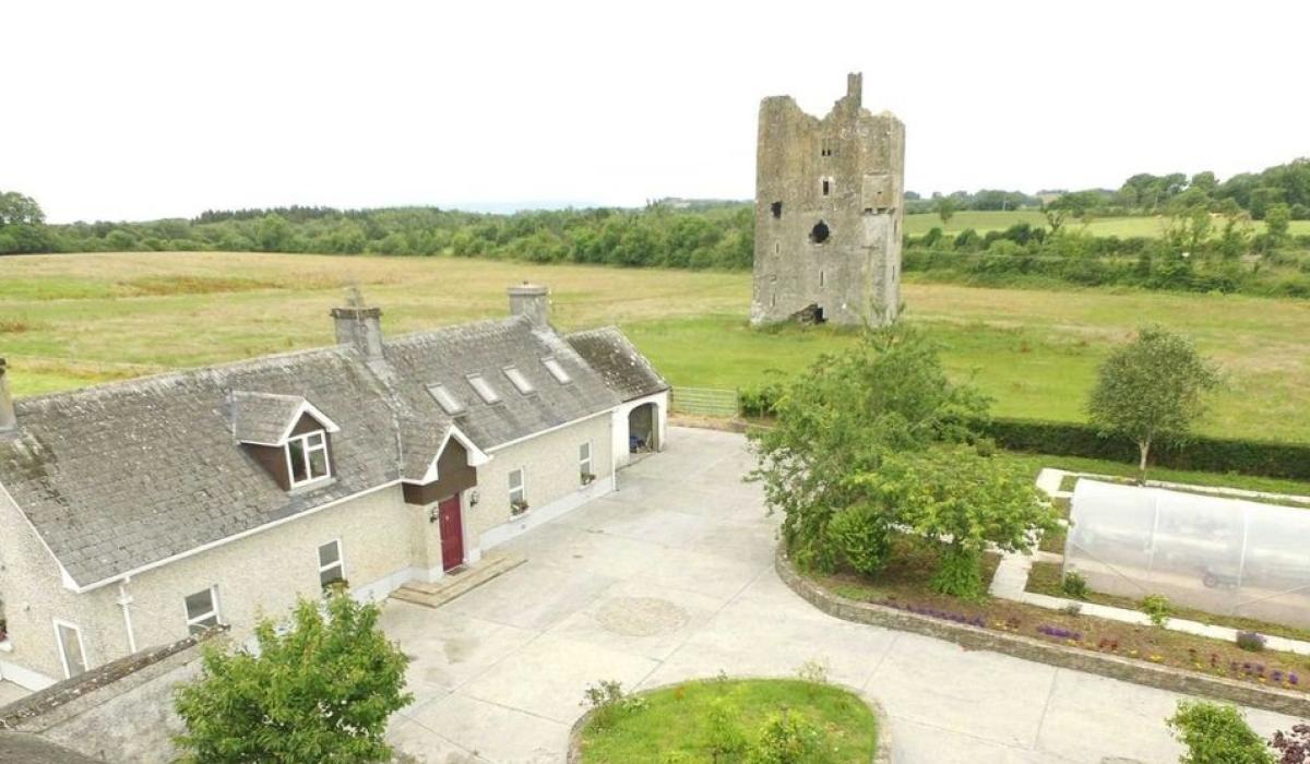 Laois farm on over 60 acres with castle on its grounds to go under the ...