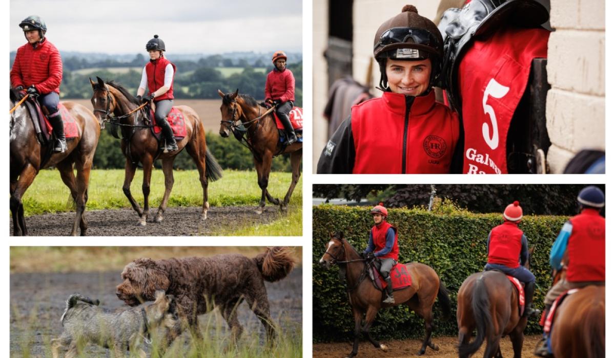 PHOTOS: Jessica Harrington opens gates to her Kildare yard ahead of ...