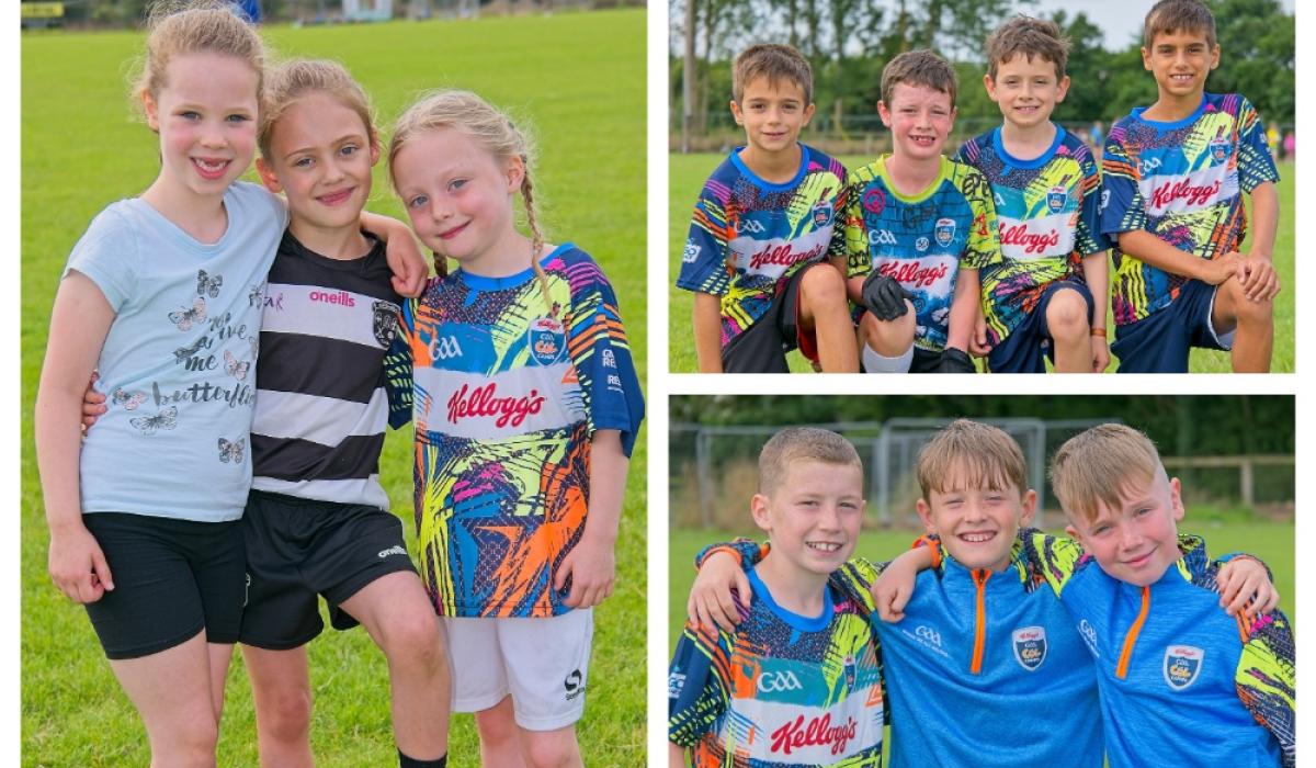 PICTURES: GAA Cúl Camp at Kilcullen GAA Club - Page 1 of 10 - Ireland Live