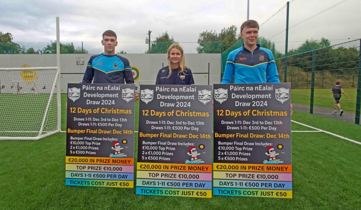 Carrick-on-Suir GAA Club launches its fundraising Christmas draw with € ...