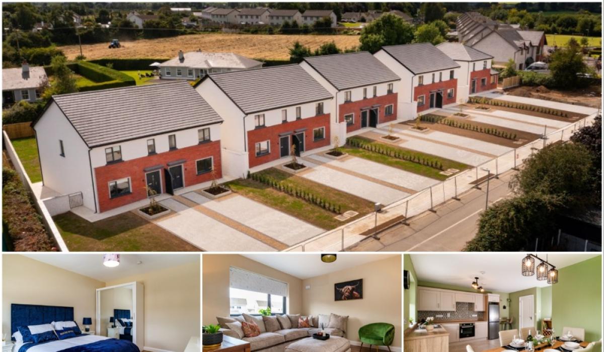 PICTURES: First look inside the stunning properties at Ballylynan's new ...