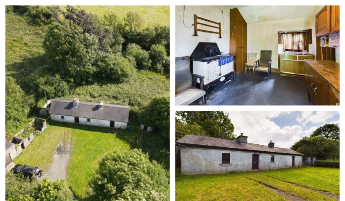 PICTURES: Charming Laois cottage could be yours for a lot less than you ...
