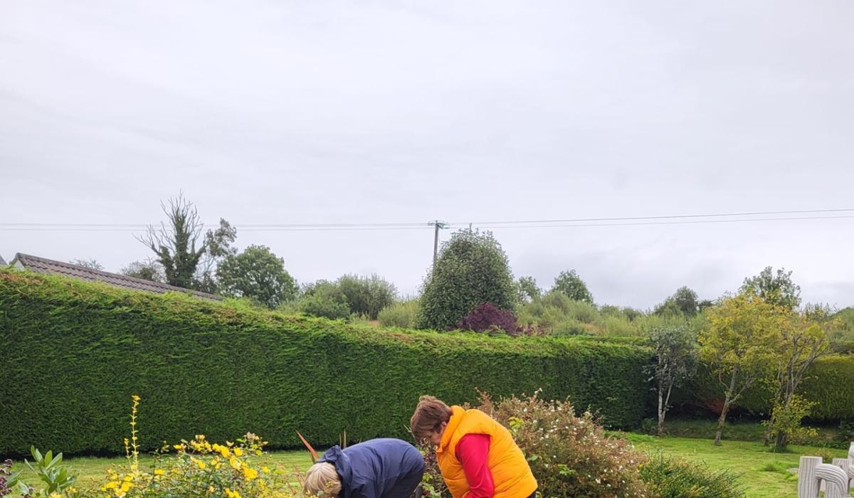 Longford communities gearing up for Pride of Place judges - Ireland Live