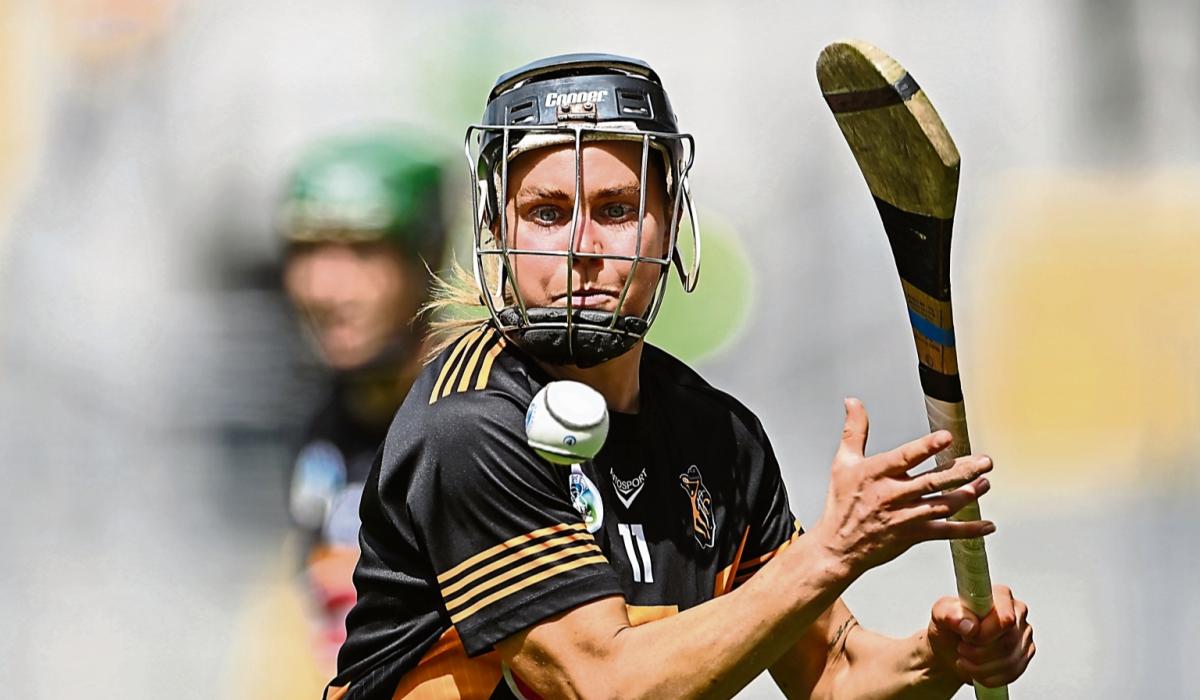 Kilkenny Camogie- Piltown make blistering start to senior campaign ...