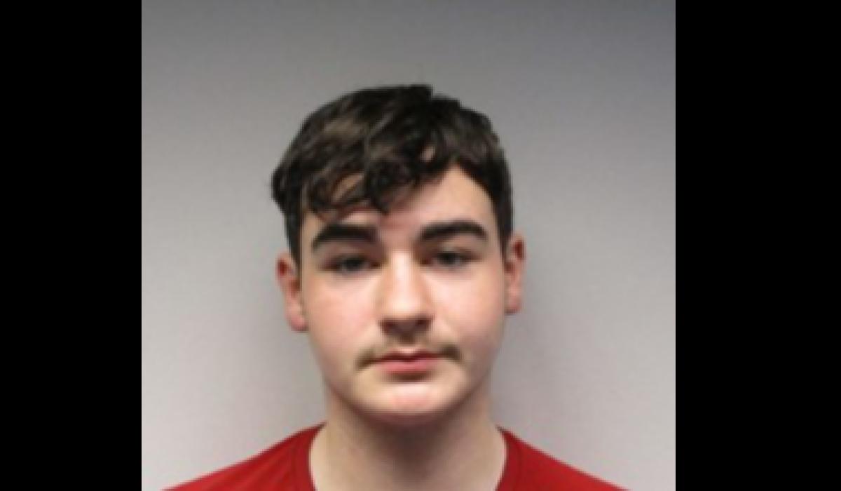 Teenager missing from his Limerick home for over two weeks sparks second garda appeal - Ireland Live