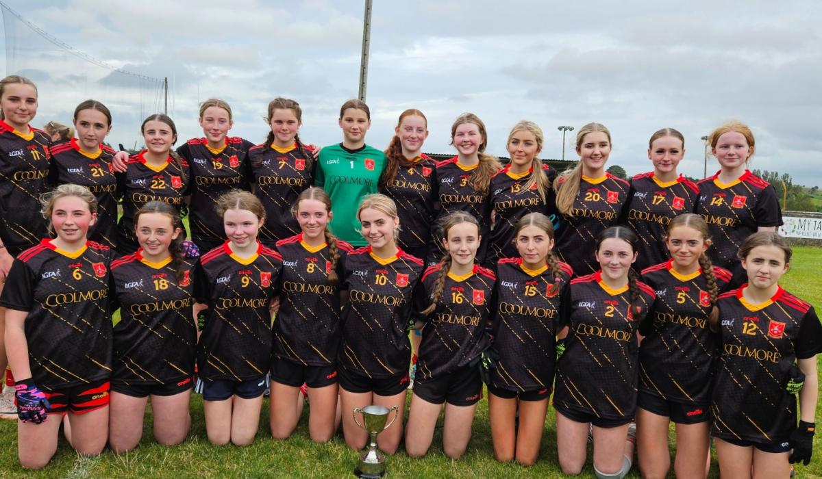LADIES FOOTBALL: Goals key as Killenaule soar to famous county success ...