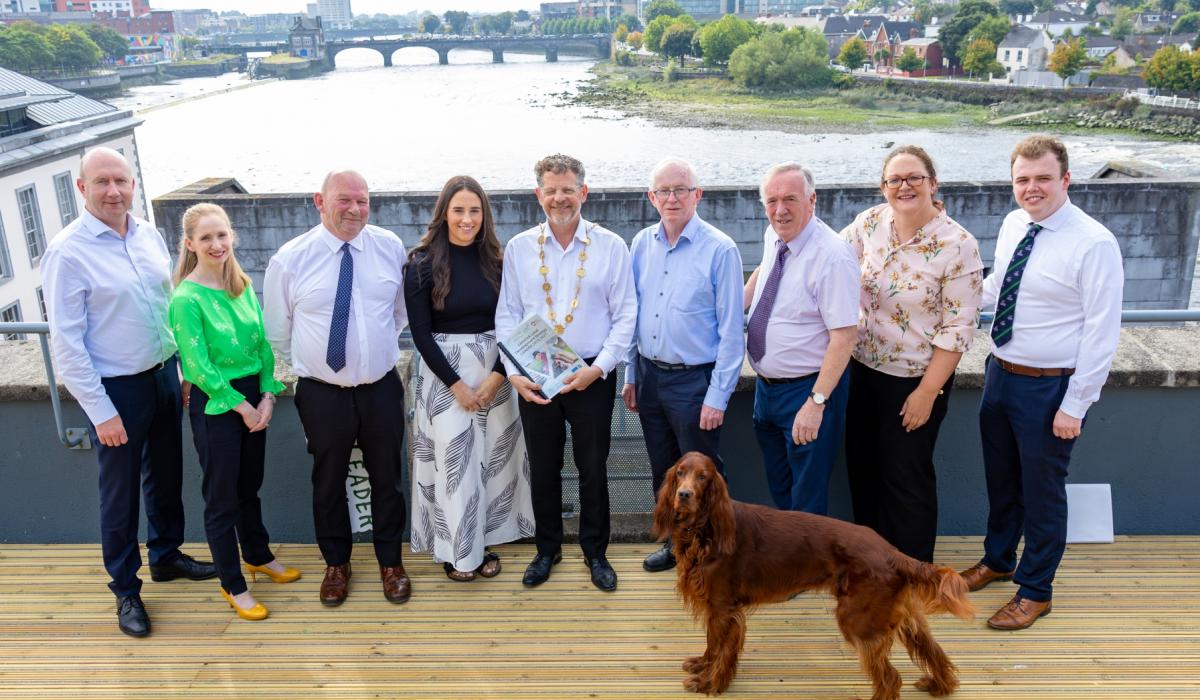 Limerick Local Community Development Committee seeking expressions of ...