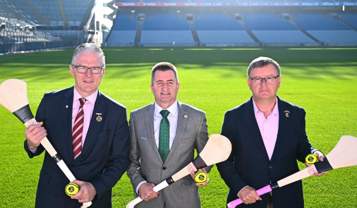 Hurling Development Committee announces recruitment process for new ...
