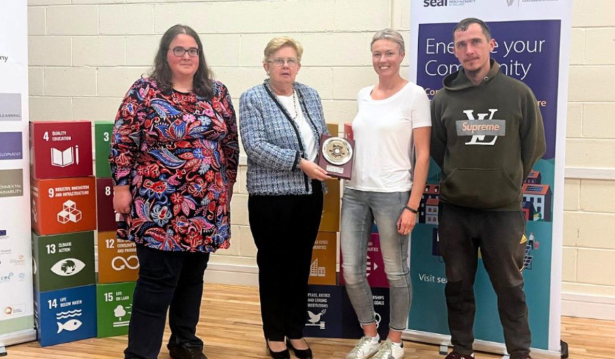 Over 30 Limerick Tidy Towns groups to compete for recognition of their ...