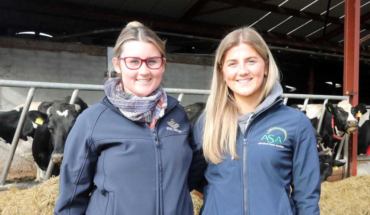 PICTURES: Fun for all the family as Kilmeedy Social Farm officially ...