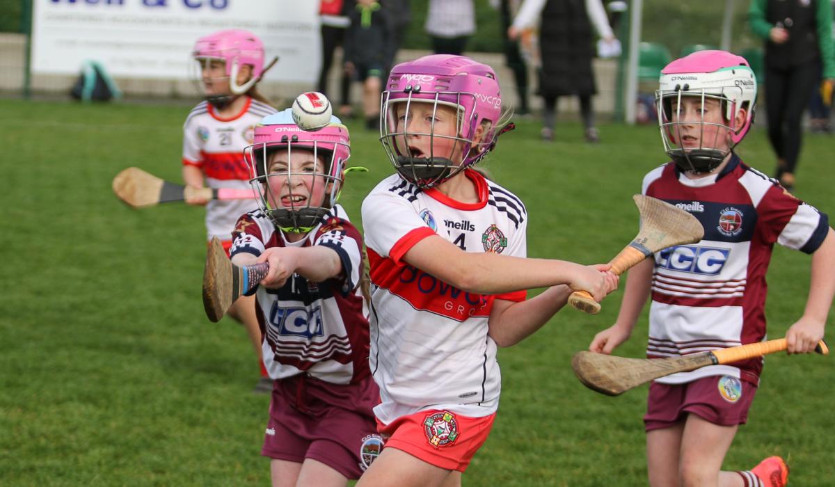 IN PICTURES: Tommy McGuigan Memorial Camogie Blitz - Page 1 of 14 ...
