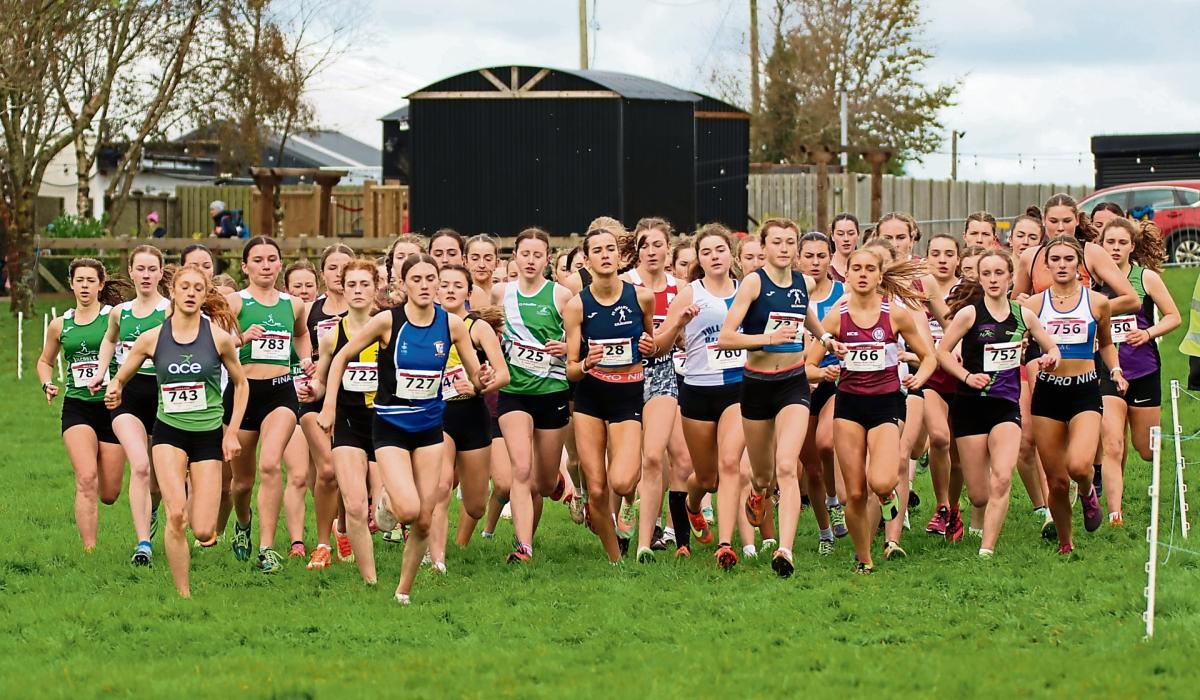 Mud, spikes and chutes - a guide to cross-country running - Ireland Live