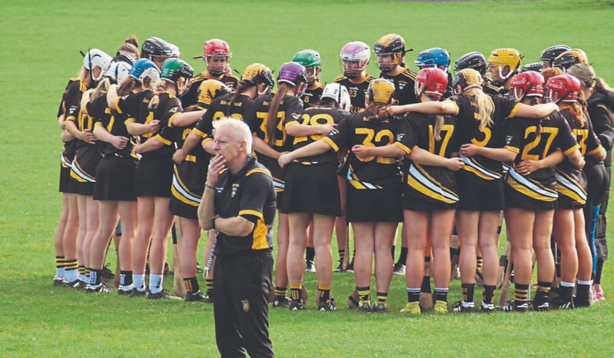 Piltown prove too strong for St Martins in Senior Camogie Quarter-Final ...