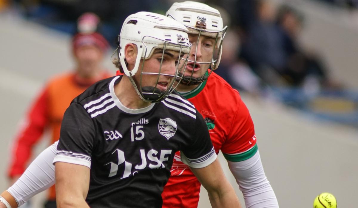 TEAM OF THE YEAR - Premier Intermediate Hurling Championship 2024 - Page 3 of 16 - Ireland Live