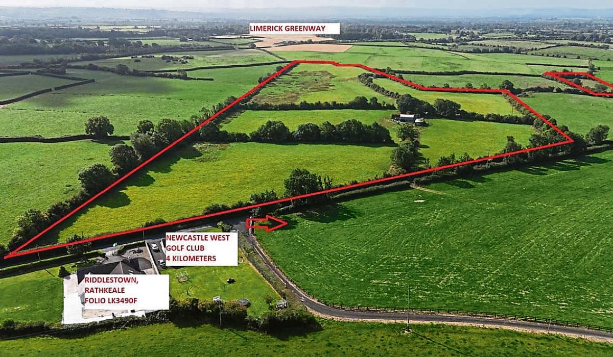 Limerick farm sells for double guide price at auction - Ireland Live