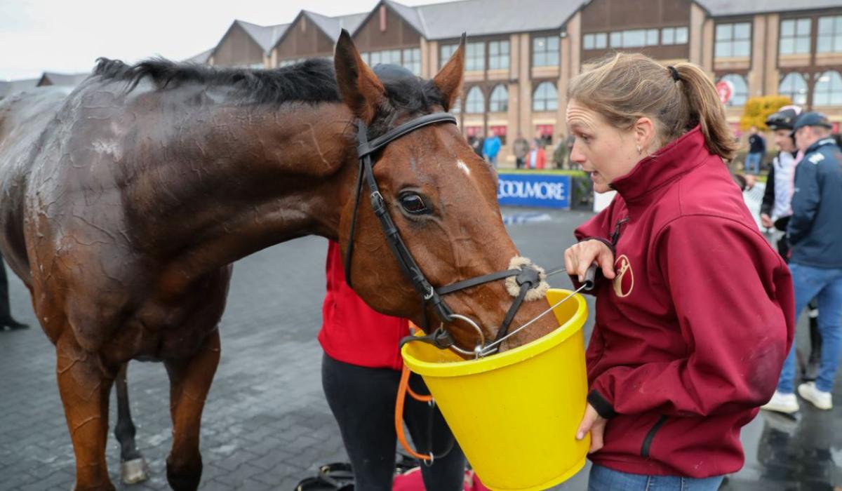 Mouse Morris trained French Dynamite showing top form to win in style ...