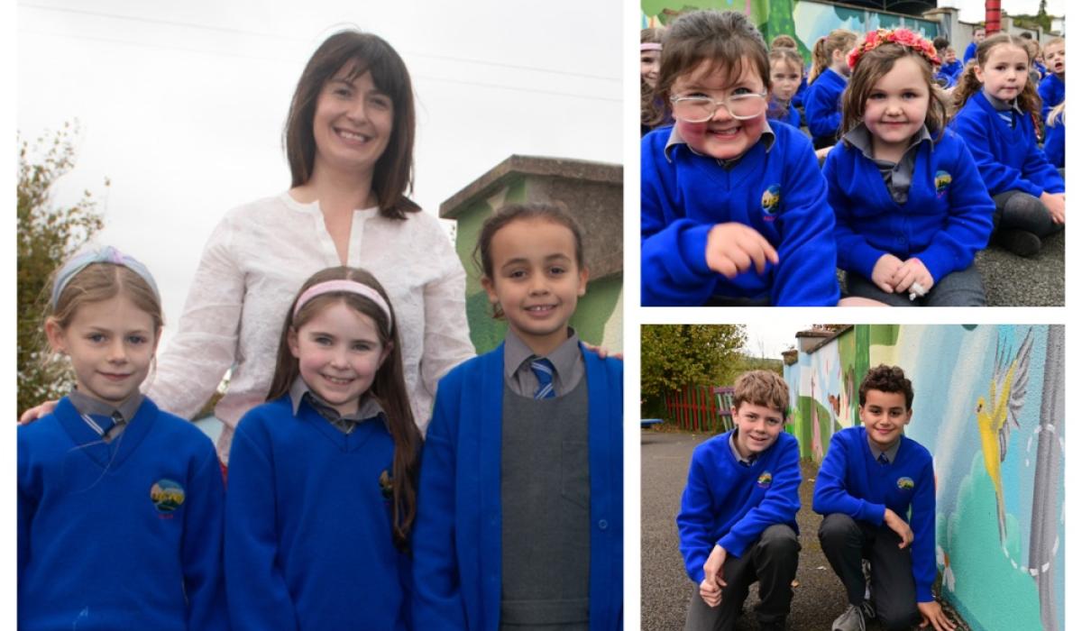 PICTURES: Knock National School unveils their magnificent new mural ...