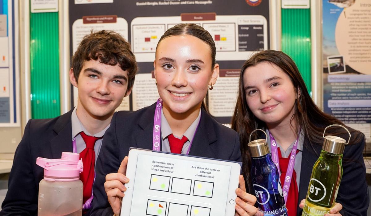 Clare students and schools prepare for BT Young Scientist & Technology ...