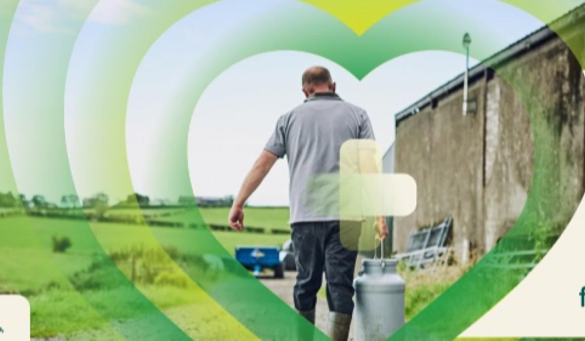 Get a health check while buying or selling cattle at Limerick mart ...