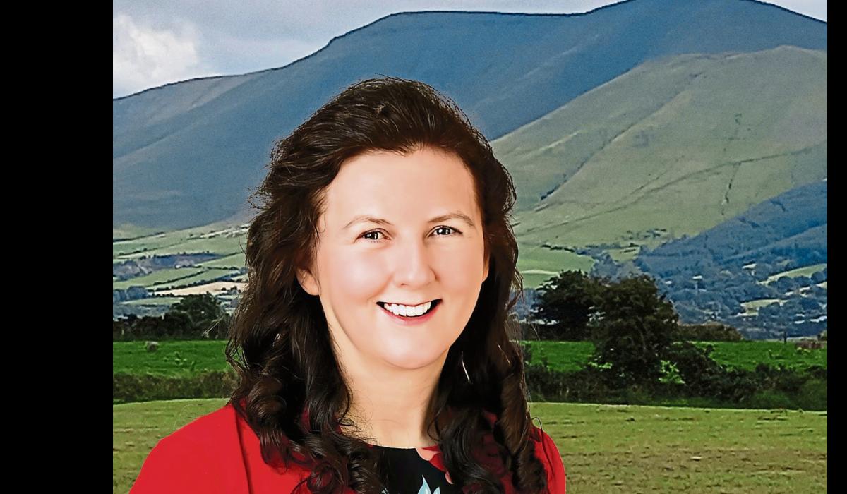 Limerick solicitor to contest Dail election in city constituency ...