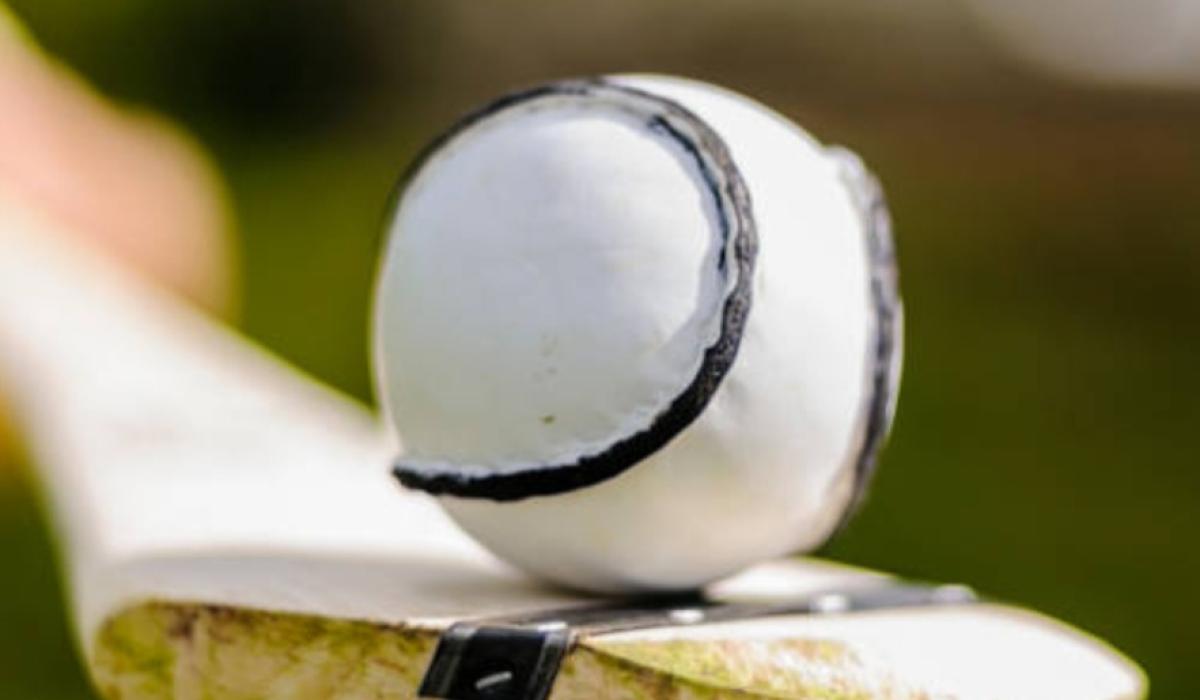 Thomastown bow out of Leinster Championship in shock loss - Kilkenny ...