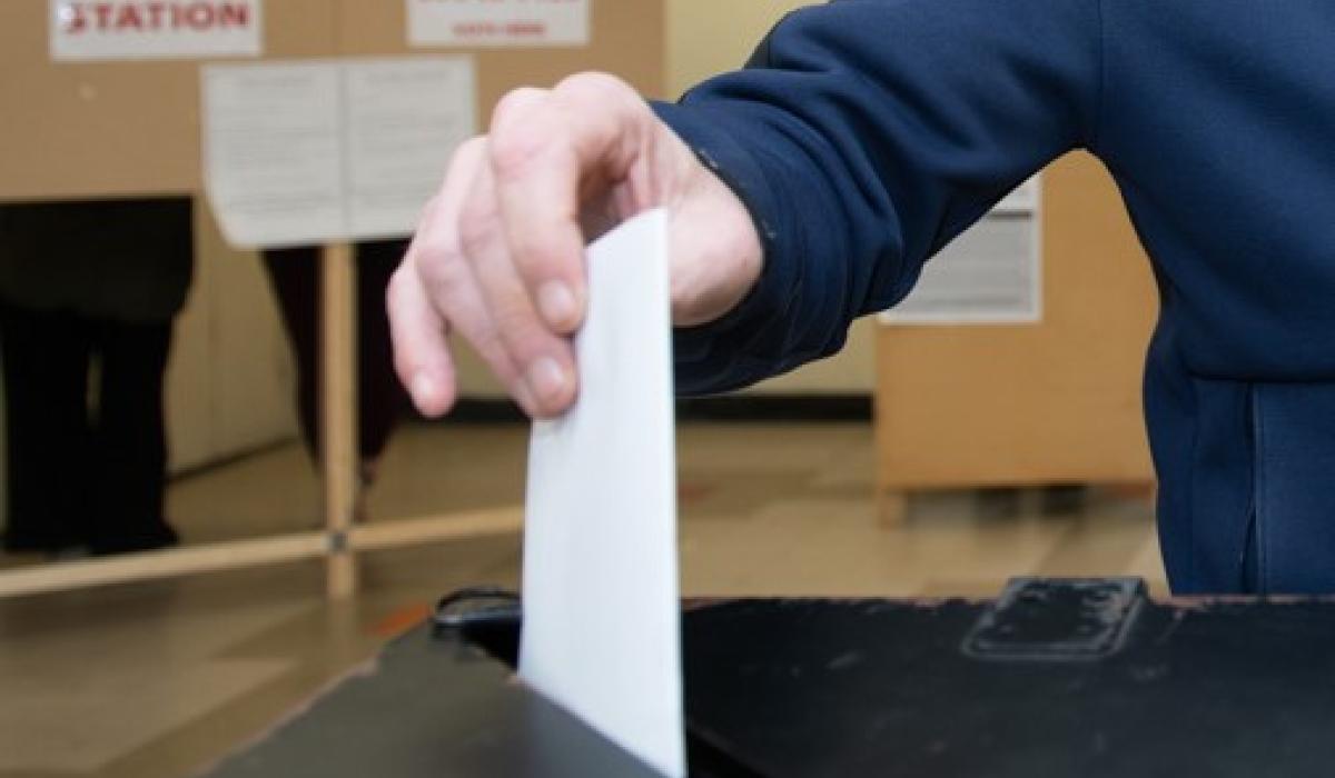 Laois General Election voters here's your guide to Ireland's unique ...