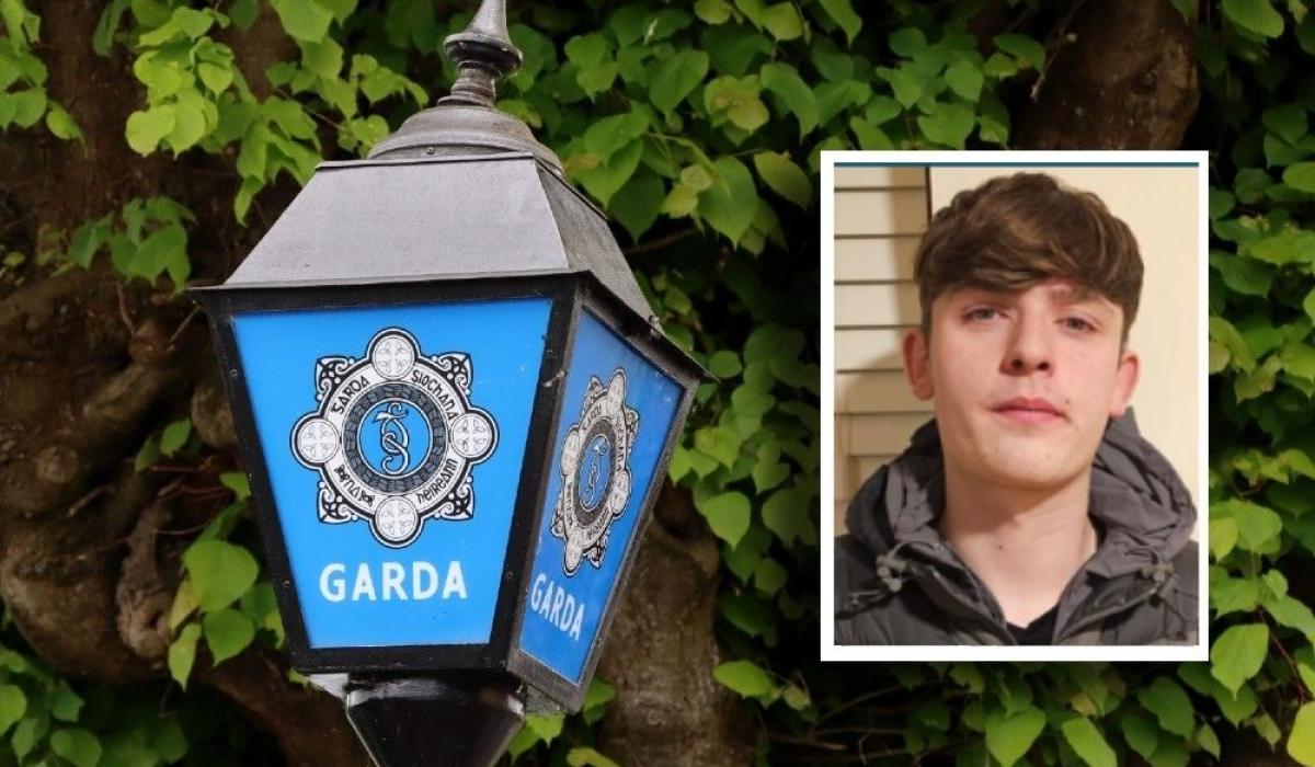 Gardaí stand down search for 15-year-old Louth teen missing for almost a week - Ireland Live