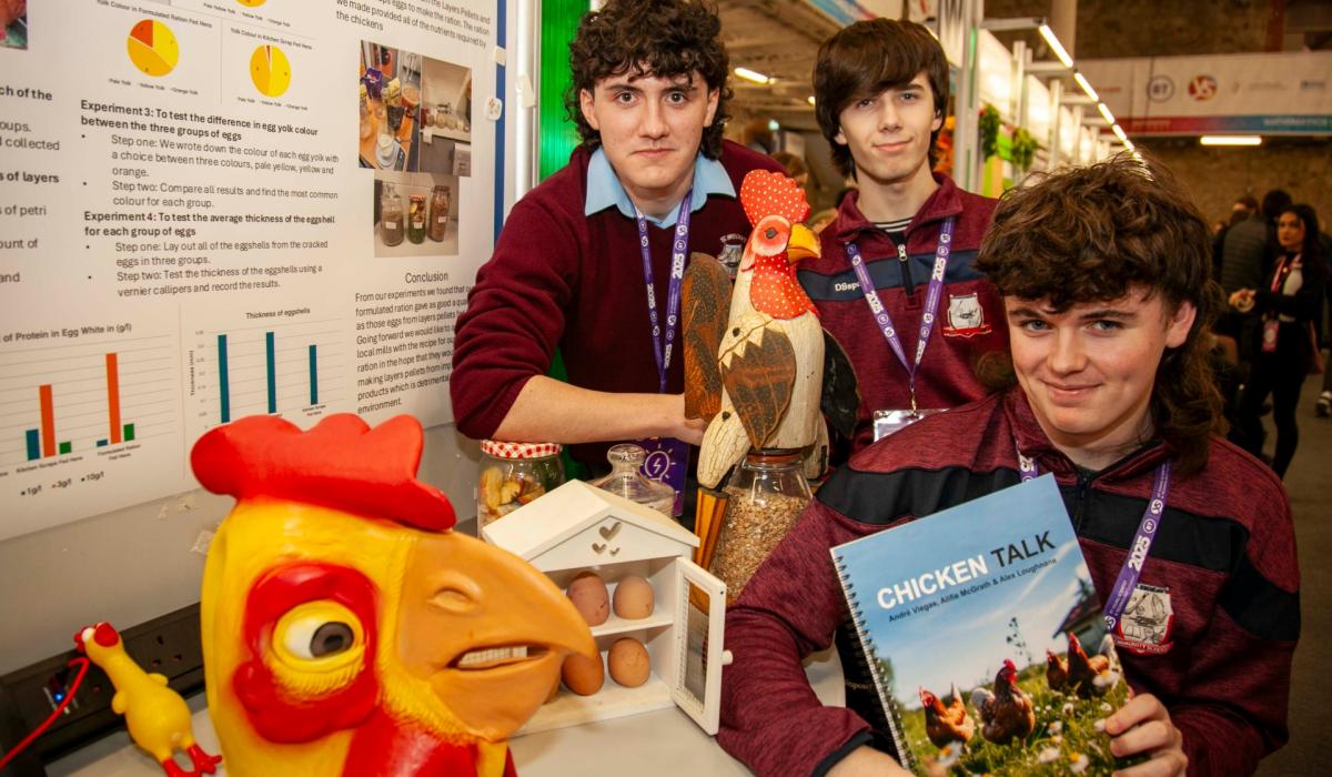 Three awards for Offaly schools at Young Scientist & Technology ...