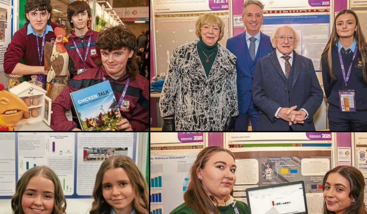 IN PICTURES: Offaly students shine in the RDS at the BT Young Scientist ...