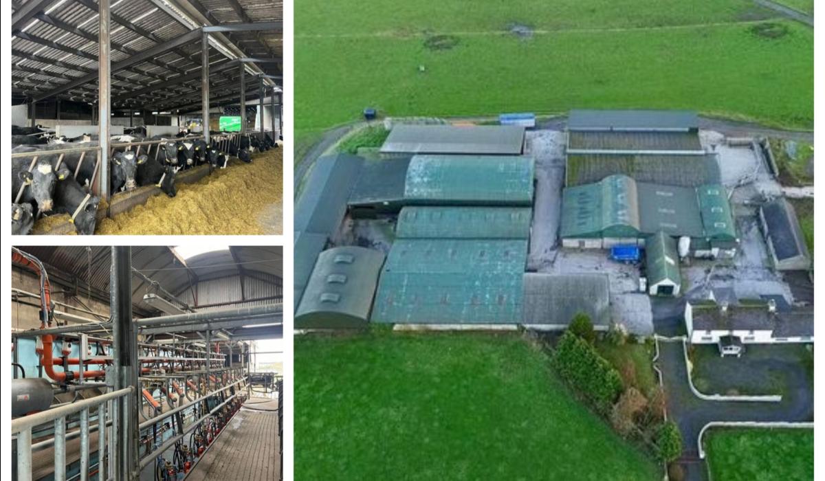 PITCURES: The Carlow dairy farm that fetched €2.4 million at auction ...