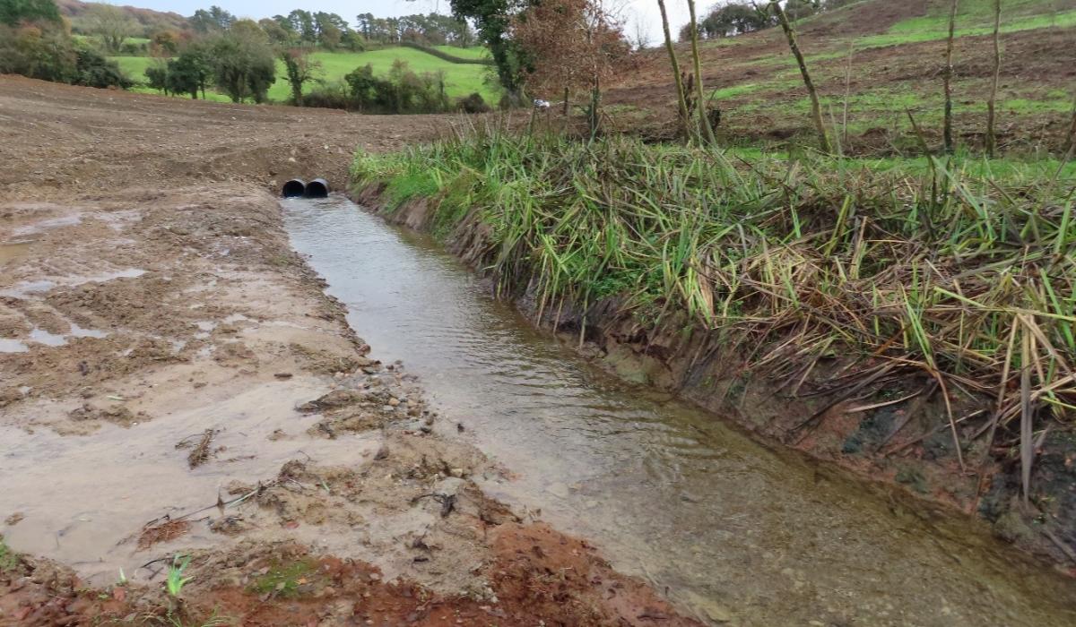 IFI secures conviction for environmental damage to important river ...