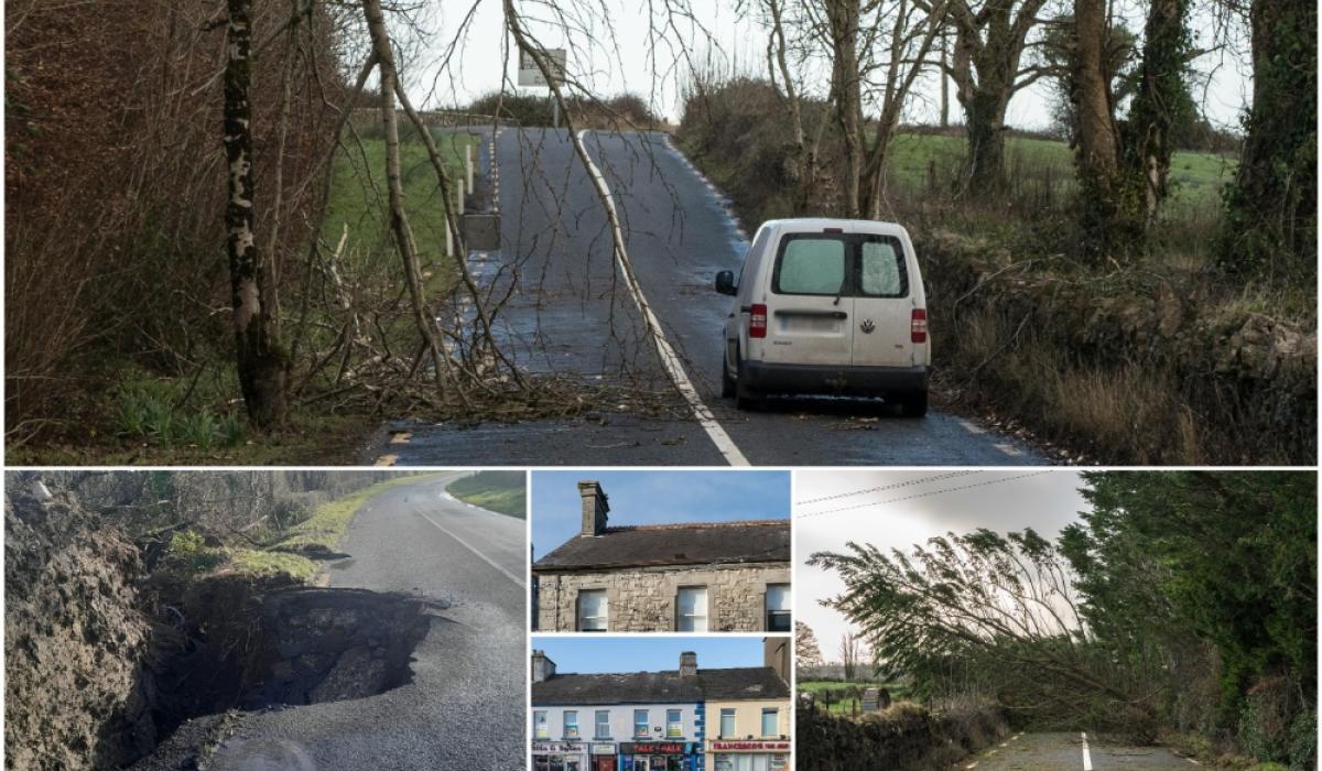 PICTURES: Damage caused around Leitrim by Storm Éowyn - Page 1 of 11 ...