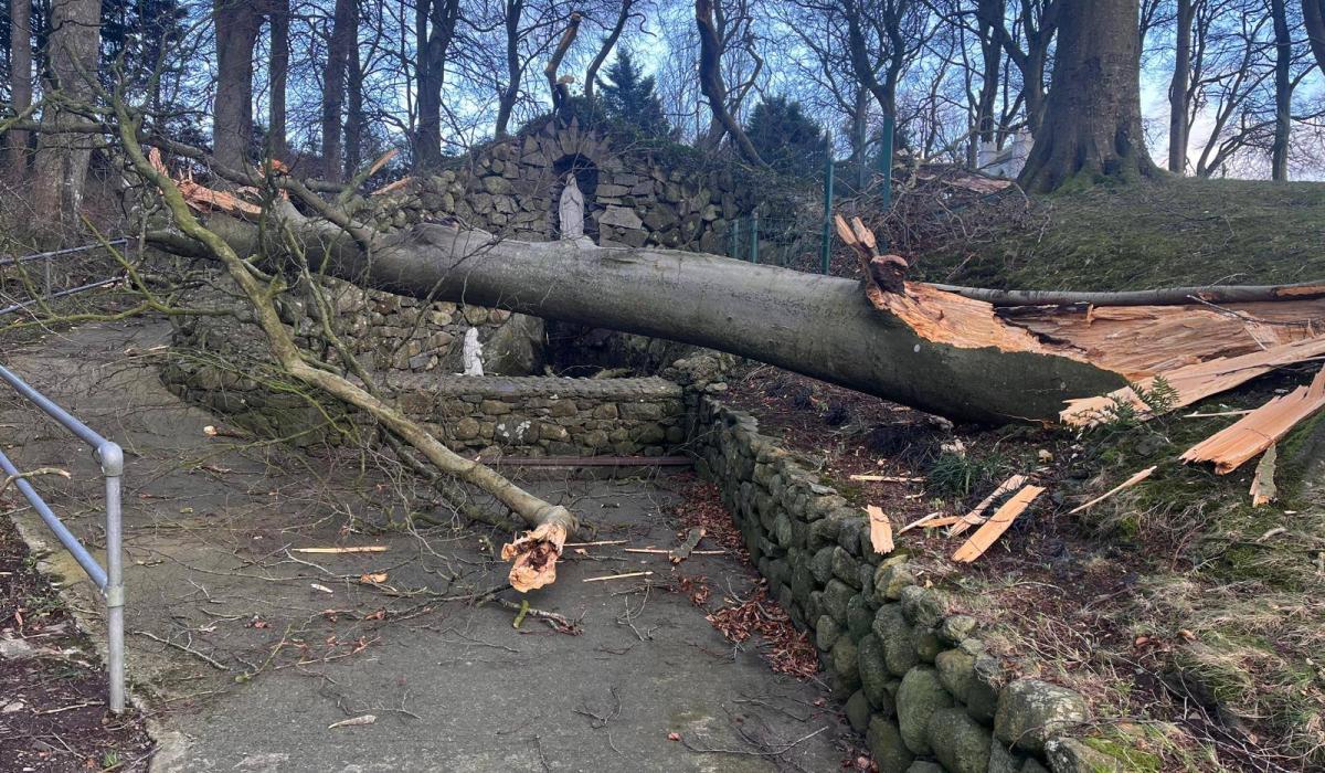 St Brigid's Shrine in north Louth badly hit by storm damage - Ireland Live
