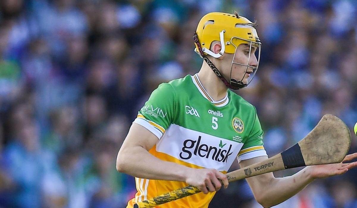 Offaly hurling star named in midfield on Higher Education Rising Stars ...