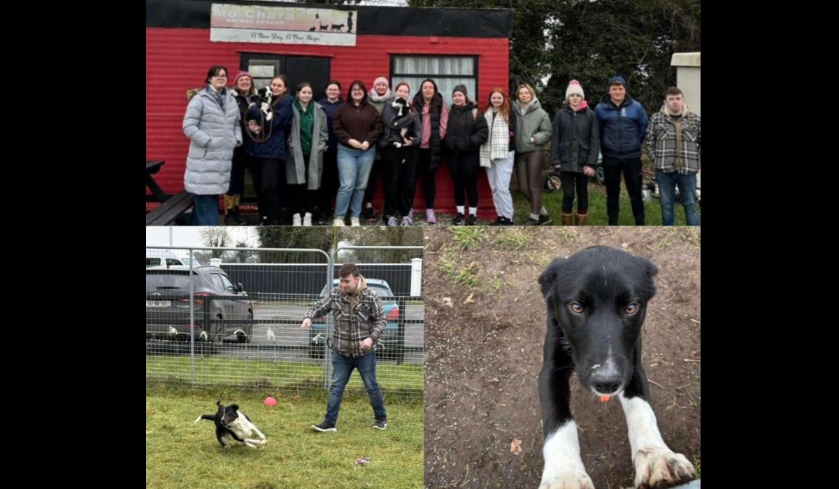 IN PICTURES: Students share the love with furry pets at Tipperary ...