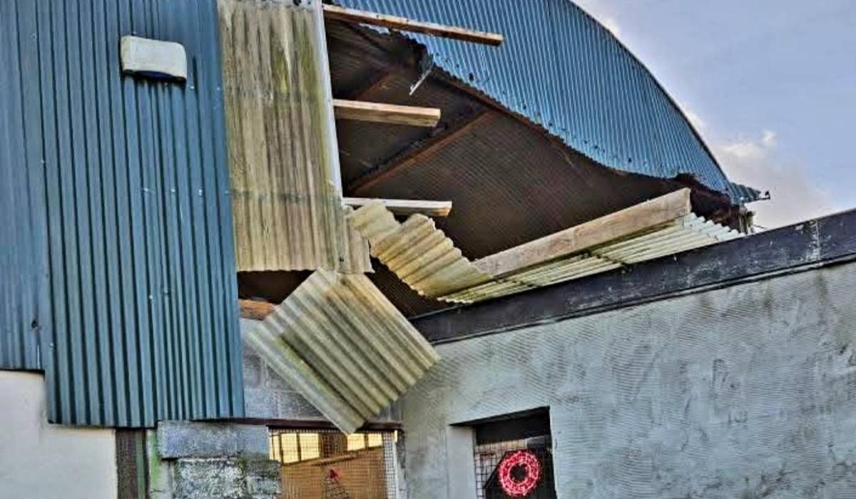 Louth SPCA urgently seeks help to repair kennels damaged during storms ...