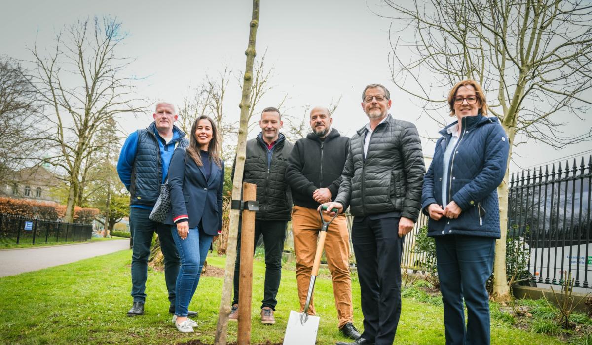 ‘Ambitious’ tree planting project takes root in Limerick - Ireland Live