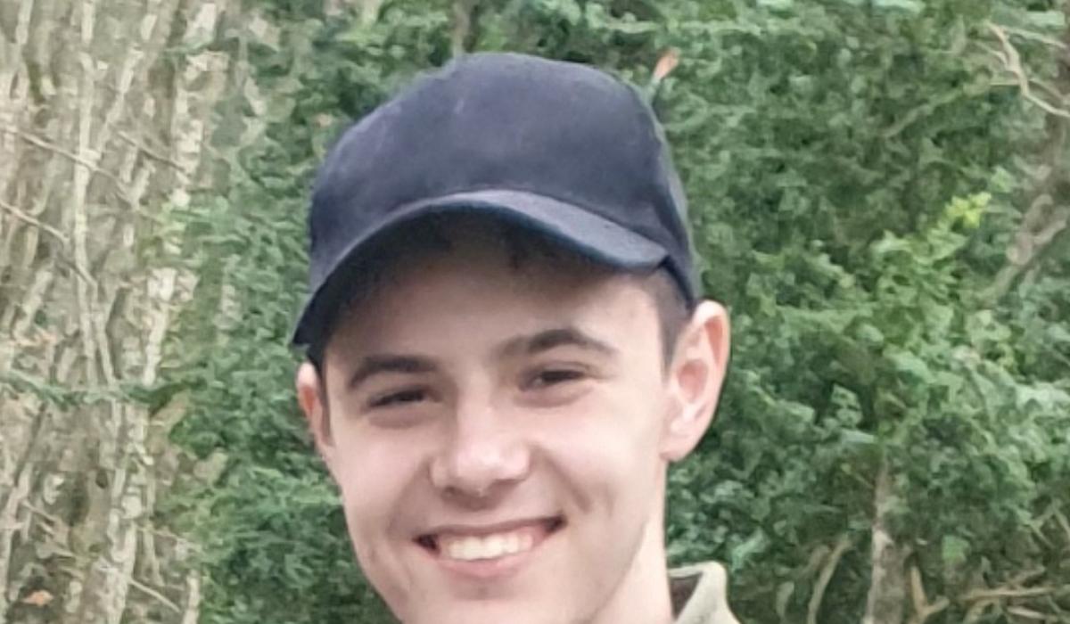 Gardaí issue appeal over teenage boy missing from Laois - Ireland Live