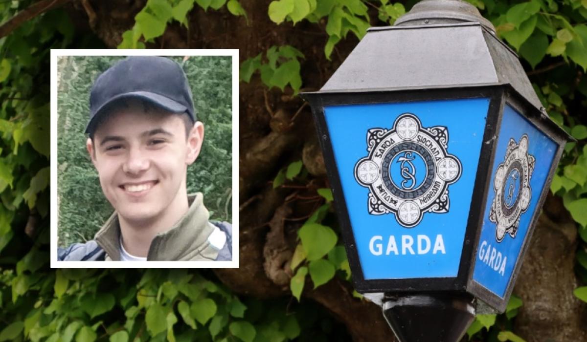 Gardaí stand down search for missing Laois teenager amid update - Ireland Live