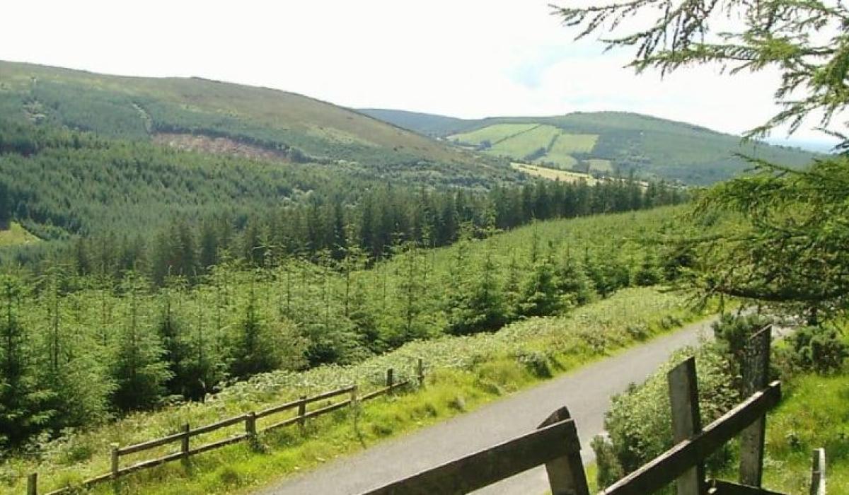 Offaly woman says many people know little of the realities of living in ...