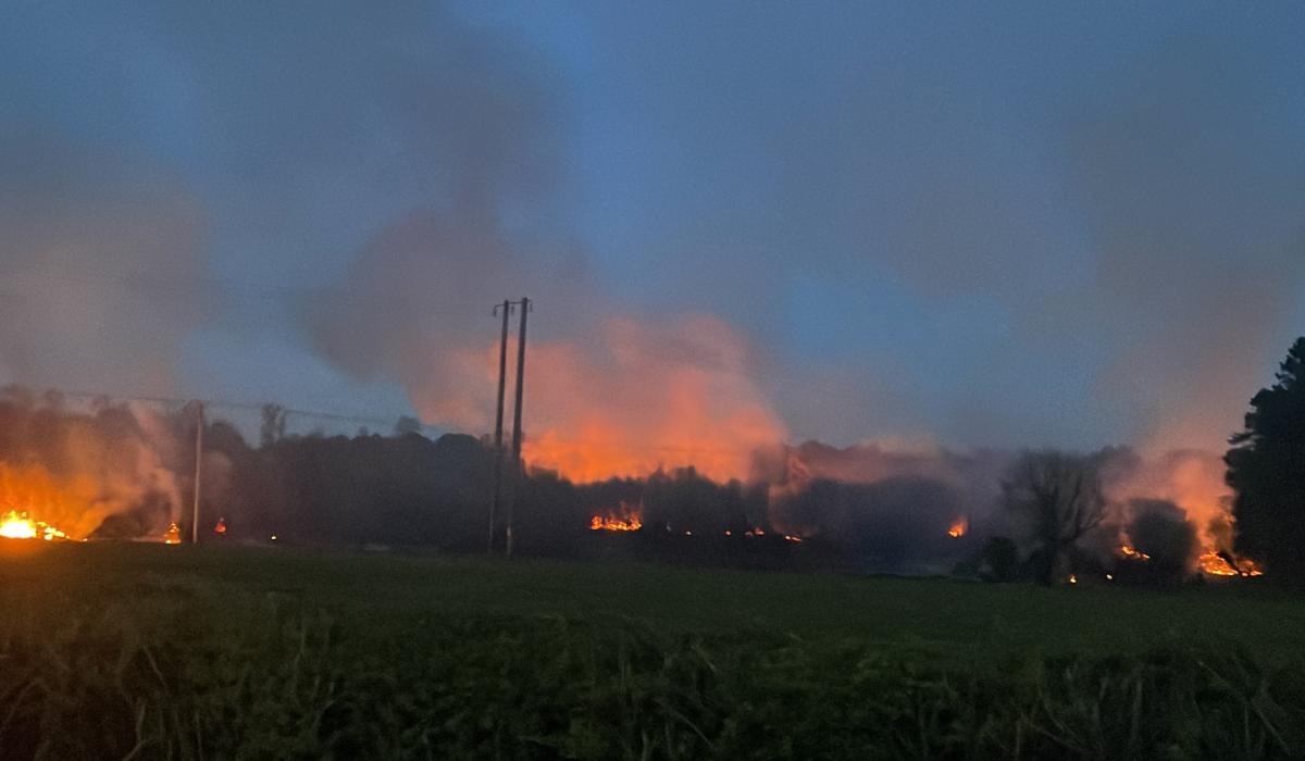 Firefighters tackle dramatic bog fire near Offaly border - Ireland Live