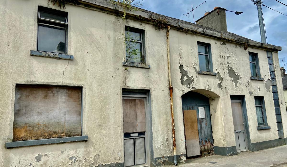 LIVE: Colony of bats stall Tipperary housing project until at least ...