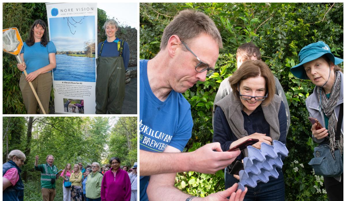 Blooming biodiversity enjoyed in Laois - Ireland Live