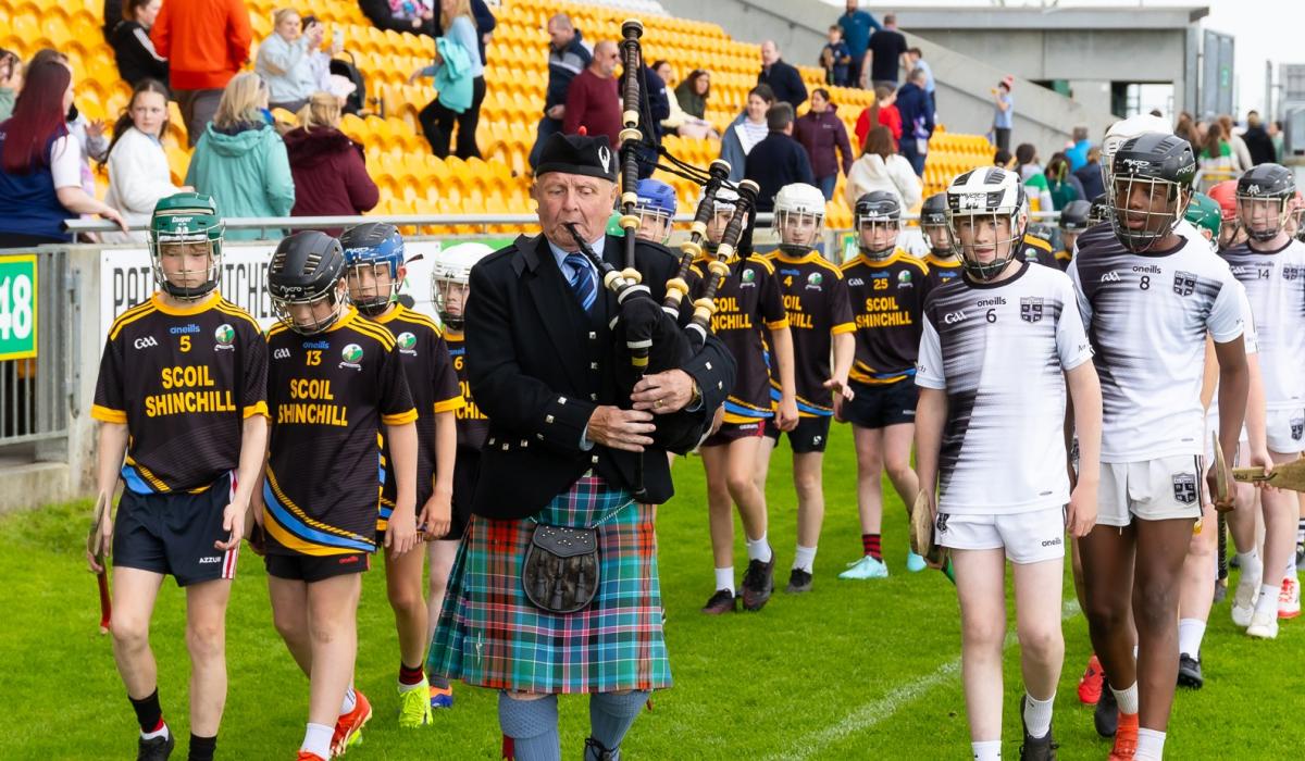 Traditional demarcation lines of Offaly football and hurling are ...