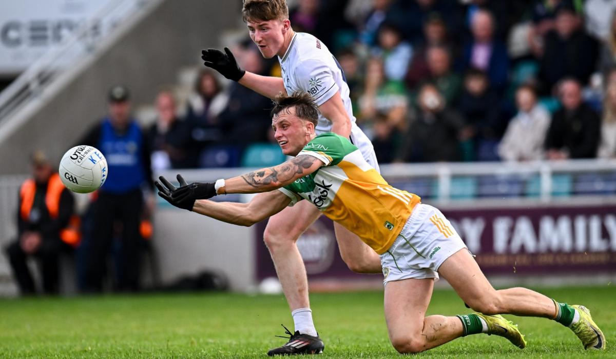Offaly's brave fightback falls agonislingly short as they exit ...