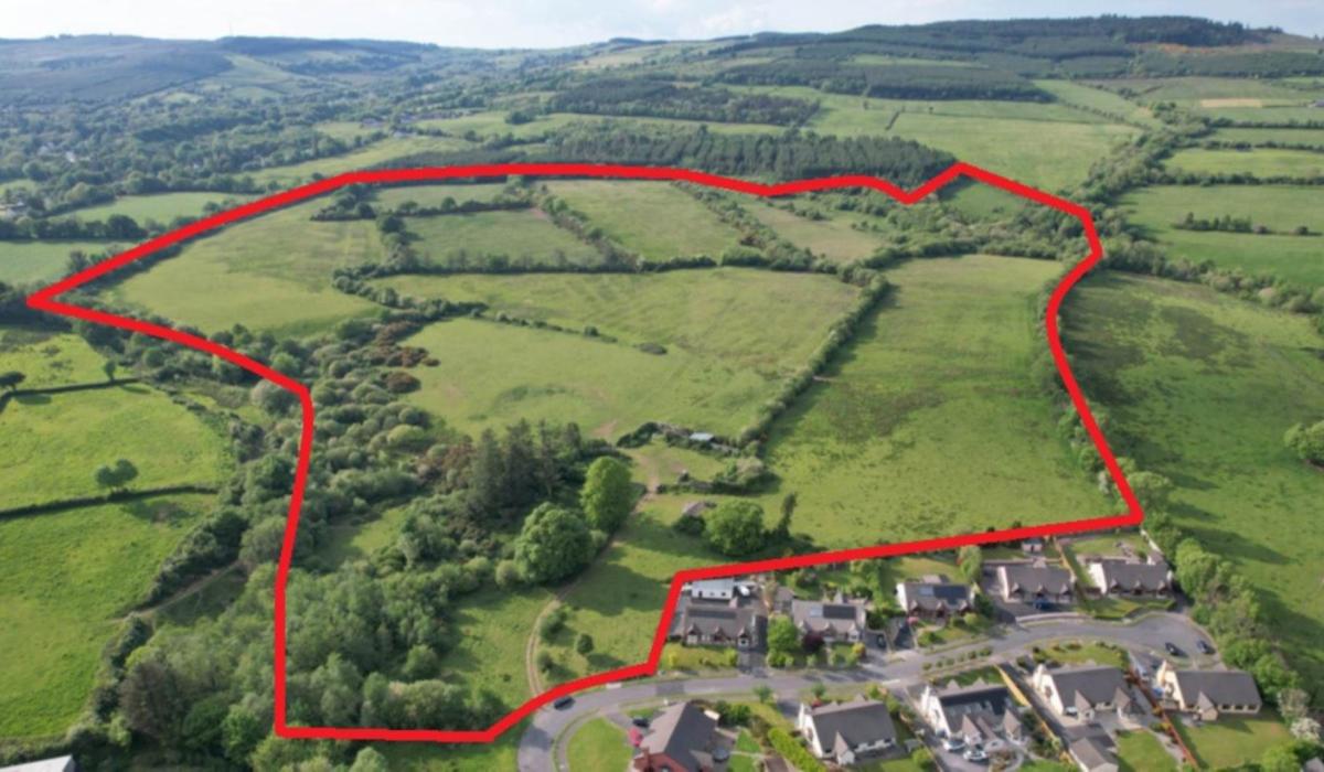 ‘Depth of the market for land’ shown at auction of 95 acres close to ...