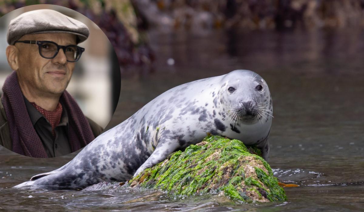 Donegal snapper explains the trials and tribulations of wildlife ...