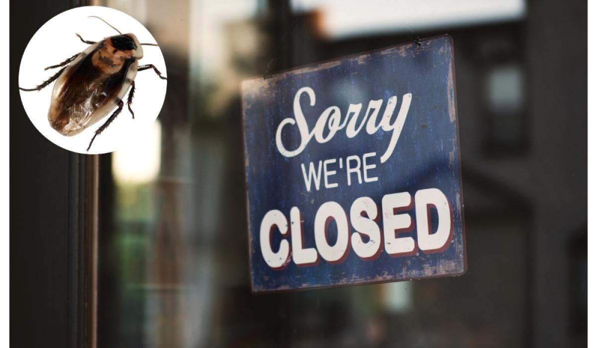 Cockroaches and rodent droppings among reasons for closures of food ...