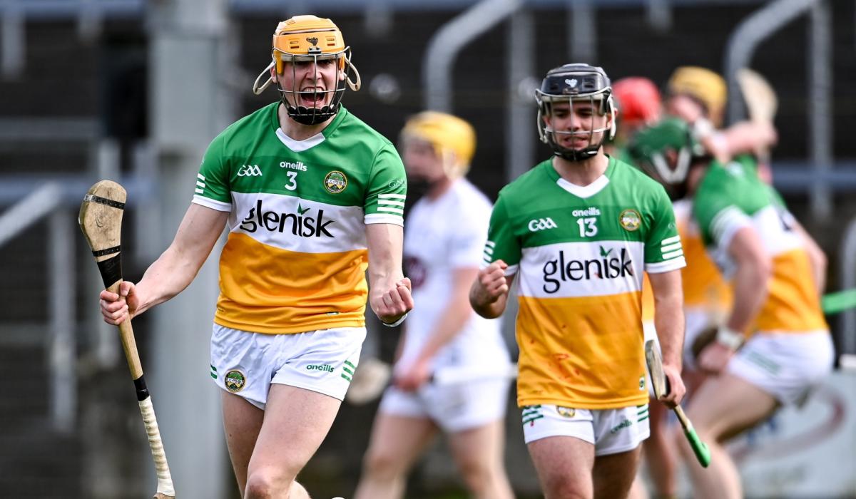 PICTURE SPECIAL: Offaly return to Division 1 Hurling after final win ...